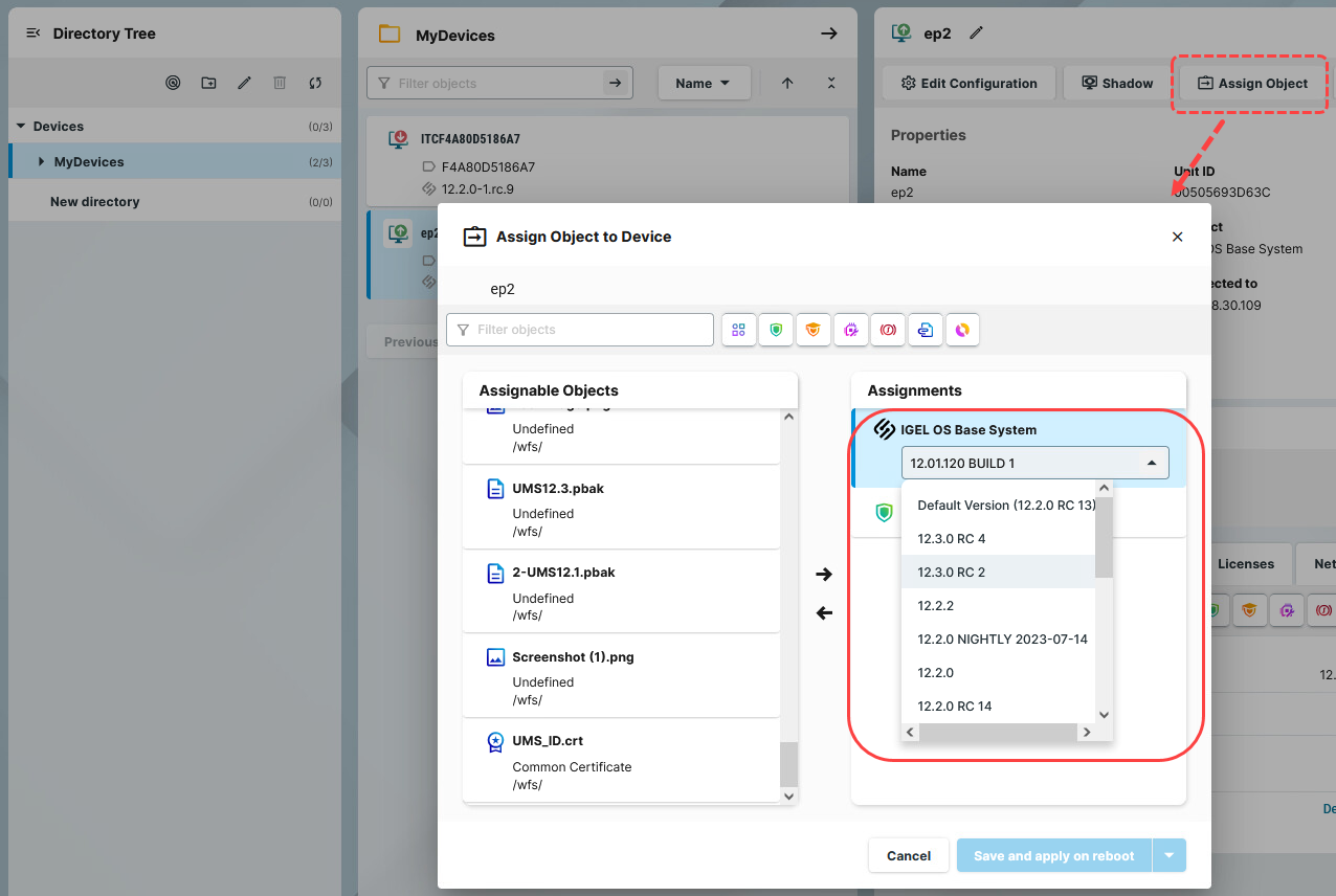 IGEL UMS 12: Basic Configuration